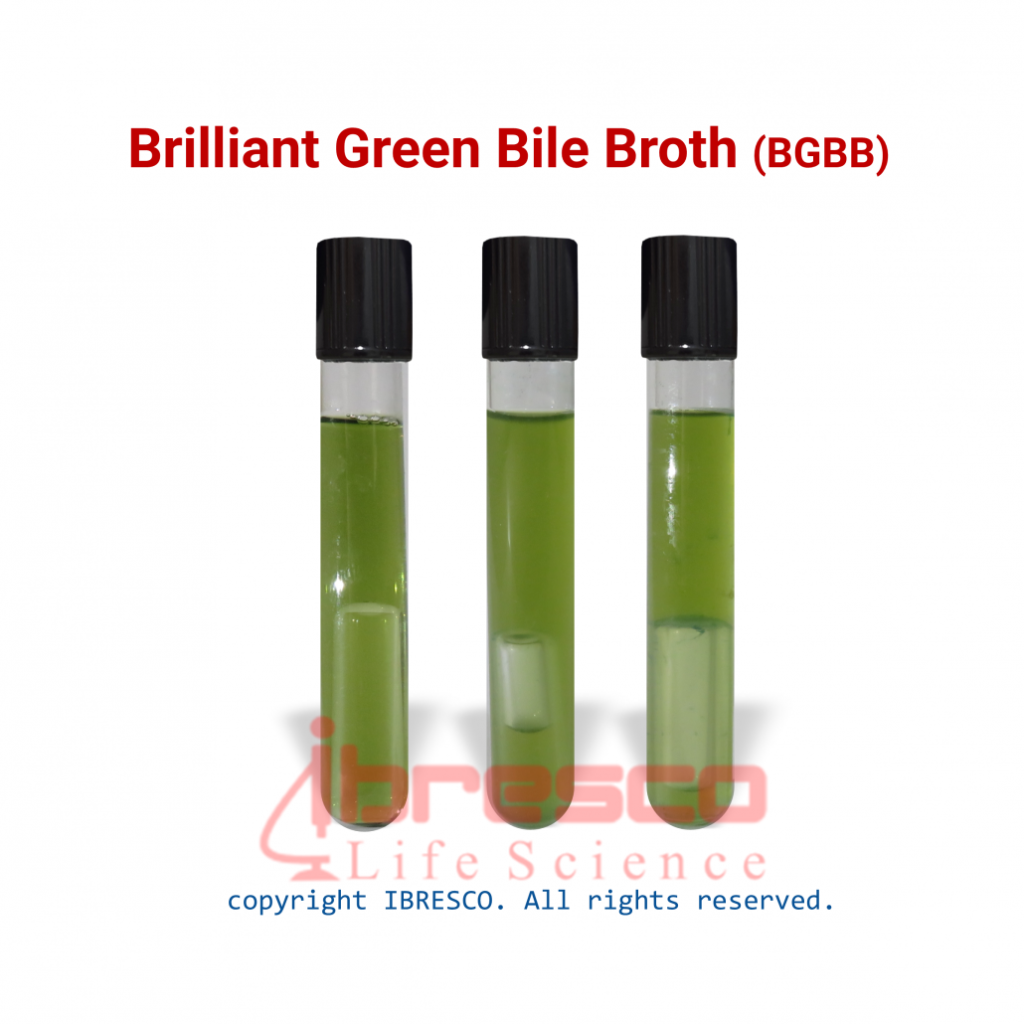 Brilliant Green (Lactose) Bile Broth 2% (BGBB) | ibresco
