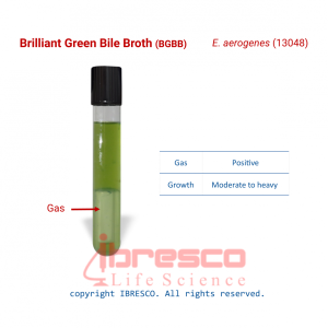 Brilliant Green (Lactose) Bile Broth 2% (BGBB) | ibresco