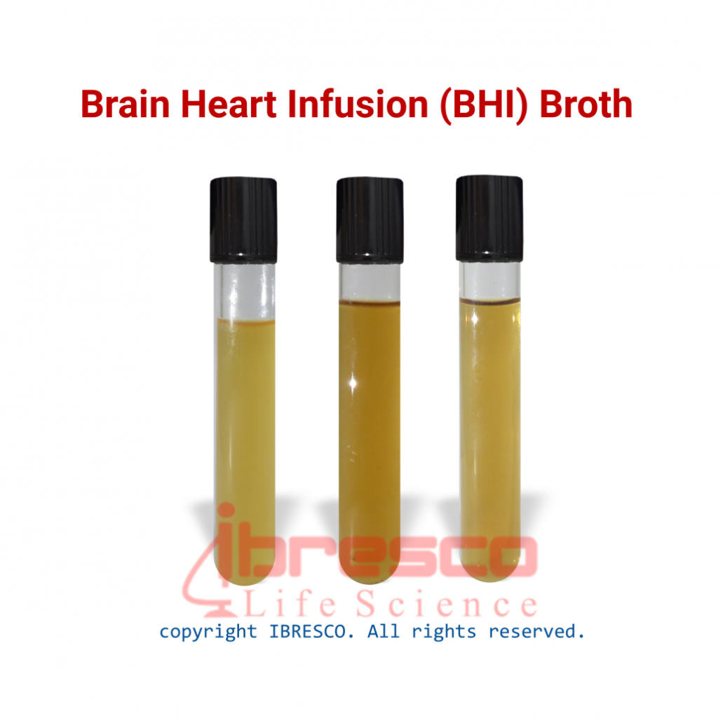 MYP Agar | ام وای پی آگار – ایبرسکو