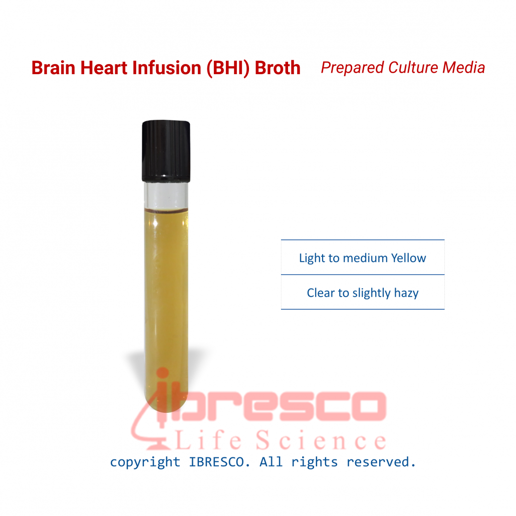 Brain Heart Infusion (BHI) Broth | عصاره قلب و مغز براث | ایبرسکو