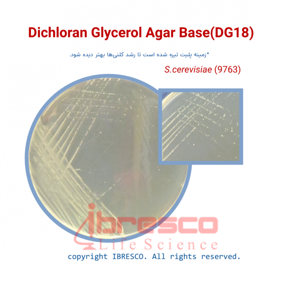Dichloran Glycerol (DG18) Agar Base | دی کلران گلیسرول آگار بیس | ibresco