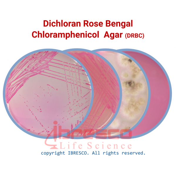 Dichloran Rose Bengal Chloramphenicol (DRBC) Agar | دیکلران رز بنگال ...
