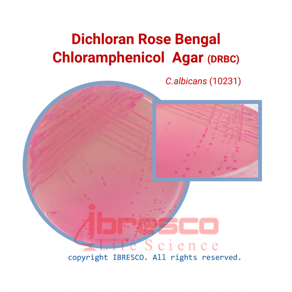 Dichloran Rose Bengal Chloramphenicol (DRBC) Agar | دیکلران رز بنگال ...