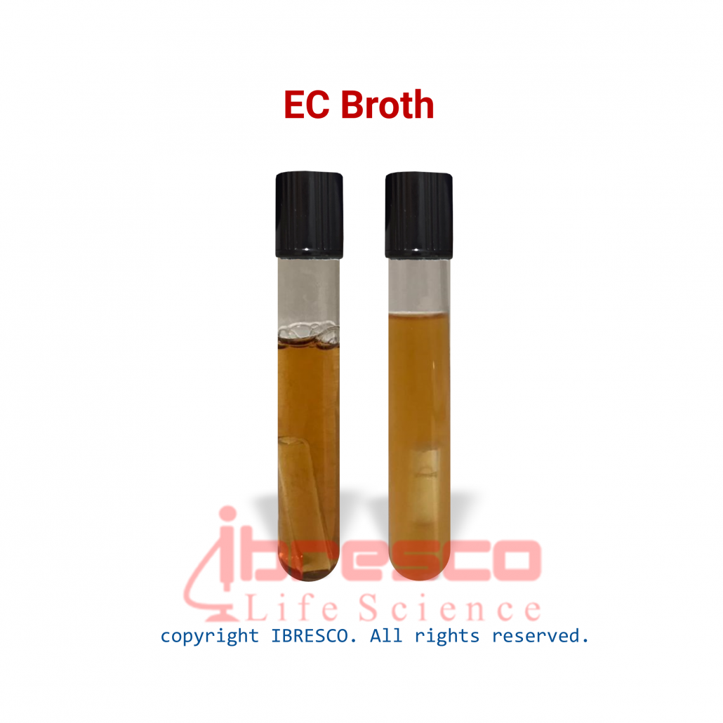EC broth (medium) | ای سی براث | ibresco
