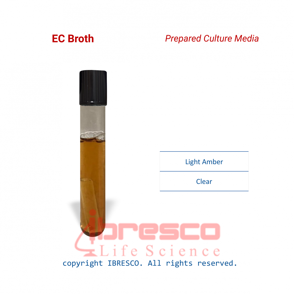EC broth (medium) | ای سی براث | ibresco