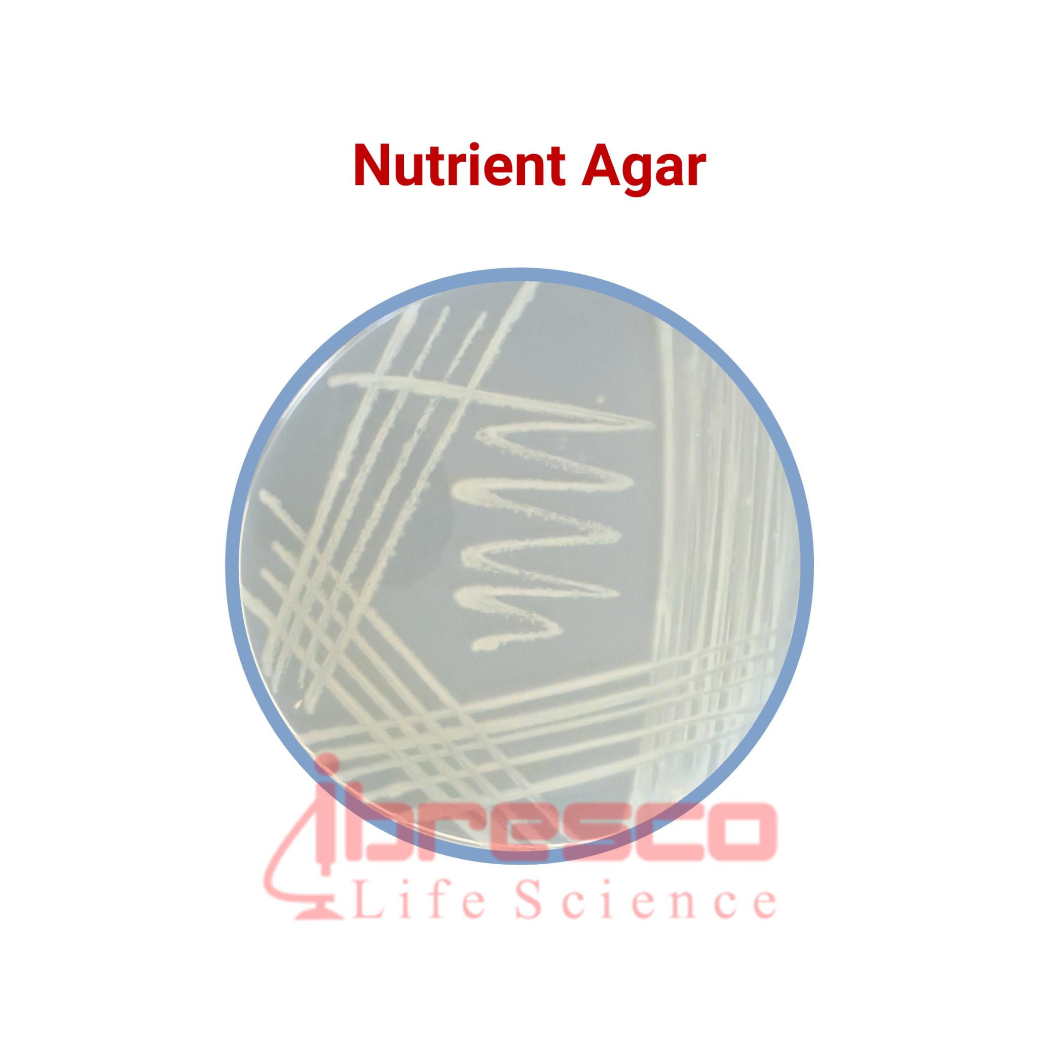 Baird-Parker Agar Base | برد-پارکر آگار بیس – ایبرسکو Baird-Parker Agar Base | برد-پارکر آگار بیس – ایبرسکو