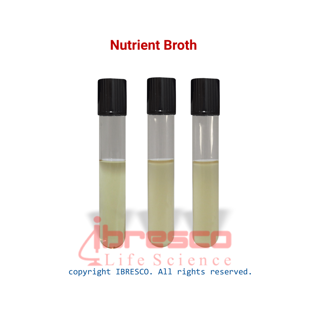 Nutrient Broth | نوترینت براث | ibresco