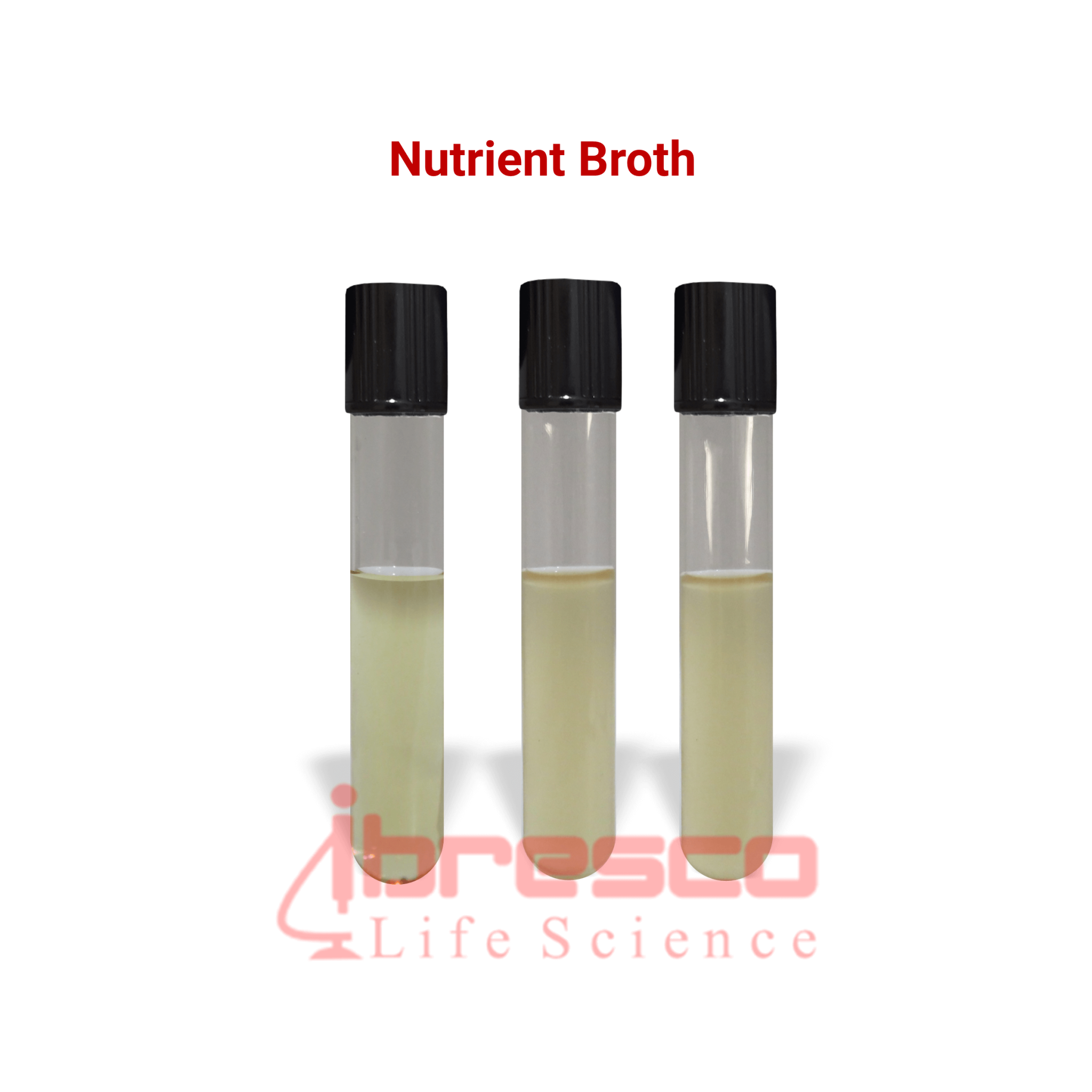 MYP Agar | ام وای پی آگار – ایبرسکو