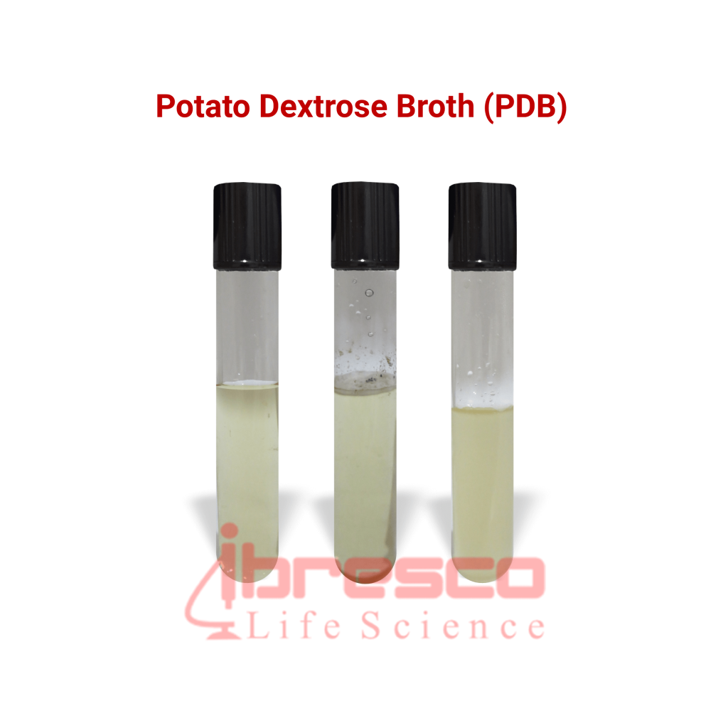 محیط های کشت میکروبی – برگه 2 – ایبرسکو