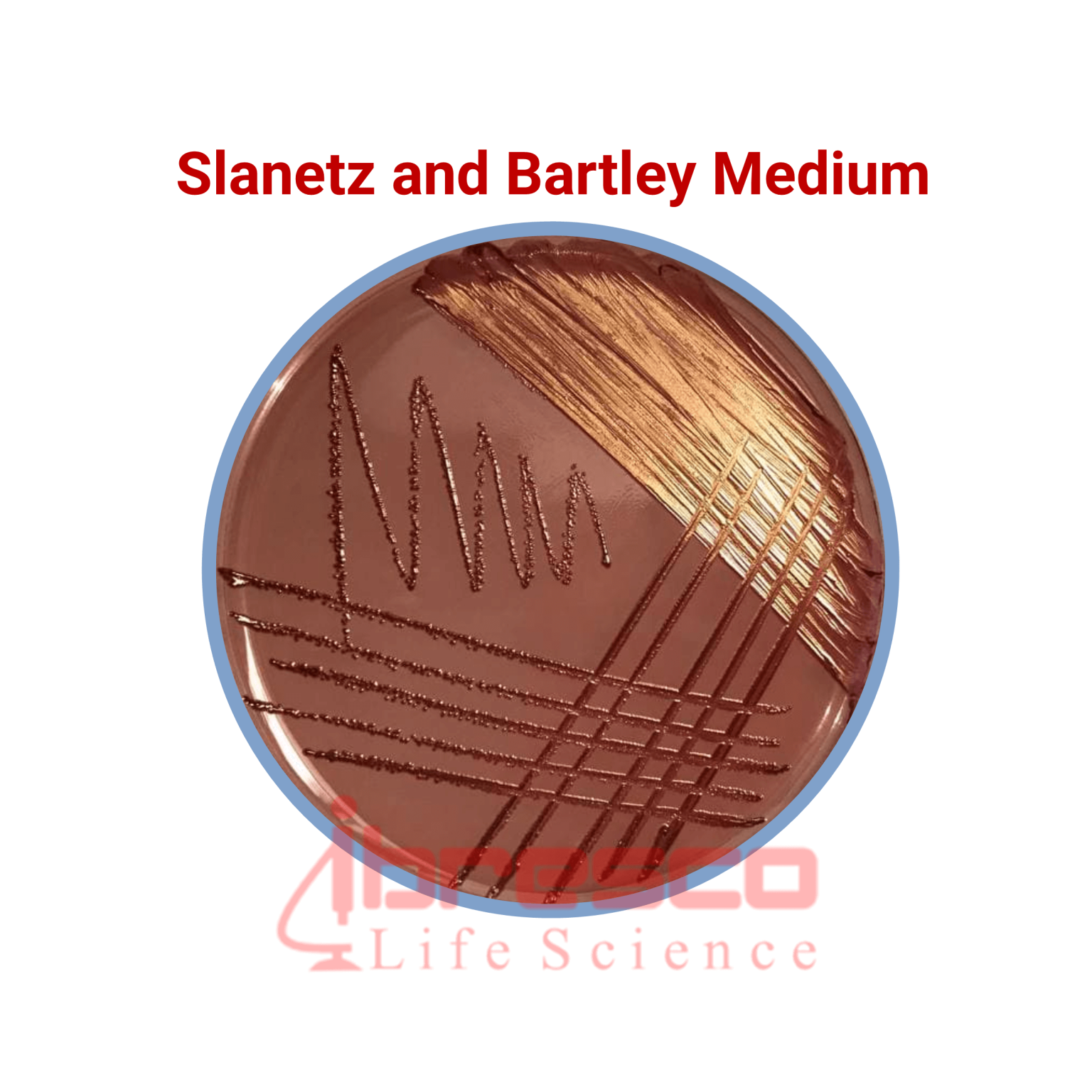 Nutrient Broth | نوترینت براث – ایبرسکو