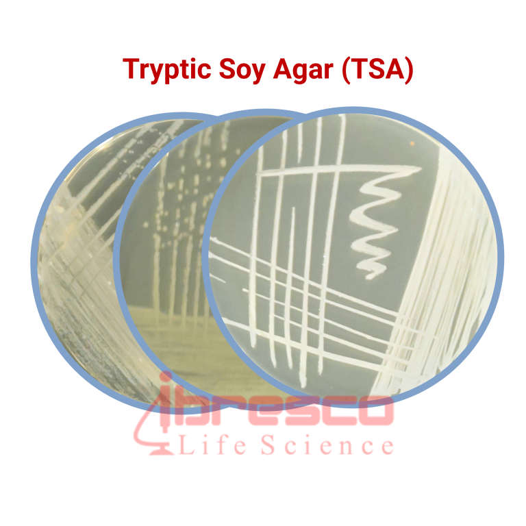Tryptic Soy Agar (TSA) | تریپتیک سوی آگار – ایبرسکو