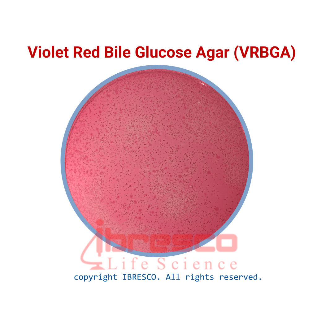 Violet Red Bile Glucose Agar (VRBGA) | ویولت رد بایل گلوکز آگار | ibresco