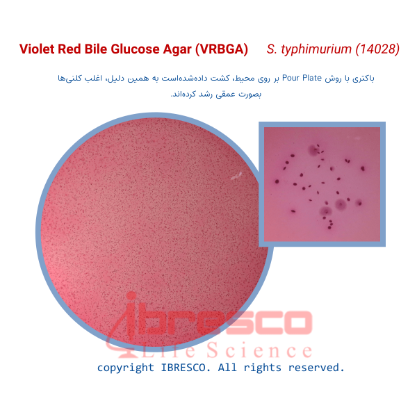 Violet Red Bile Glucose Agar (VRBGA) | ibresco