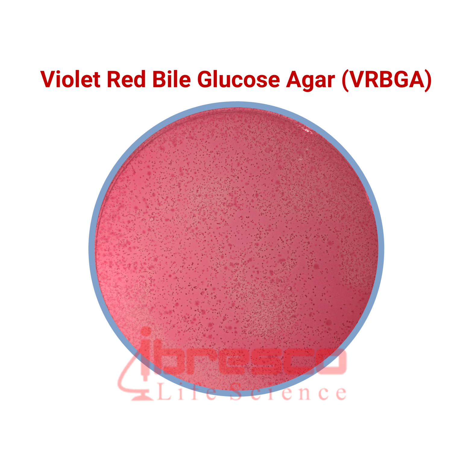 Baird-Parker Agar Base | برد-پارکر آگار بیس – ایبرسکو Baird-Parker Agar Base | برد-پارکر آگار بیس – ایبرسکو