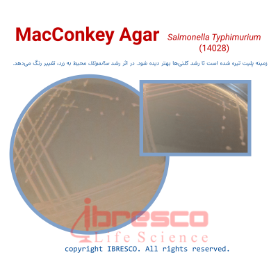 MacConkey Agar | ibresco