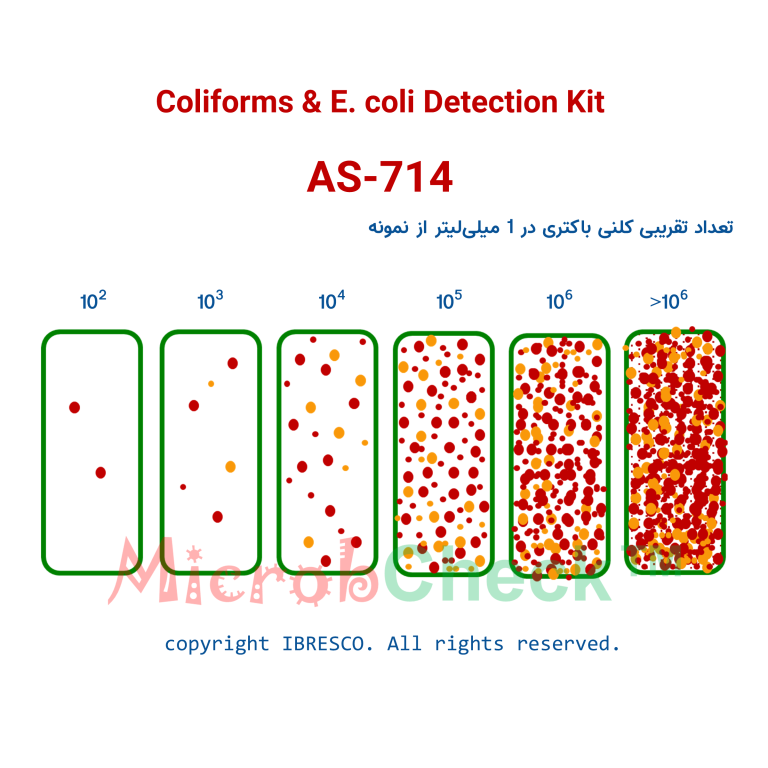 Coliforms & E. coli Detection Kit | کیت شمارش کلیفرم ها و ای کلای | ایبرسکو