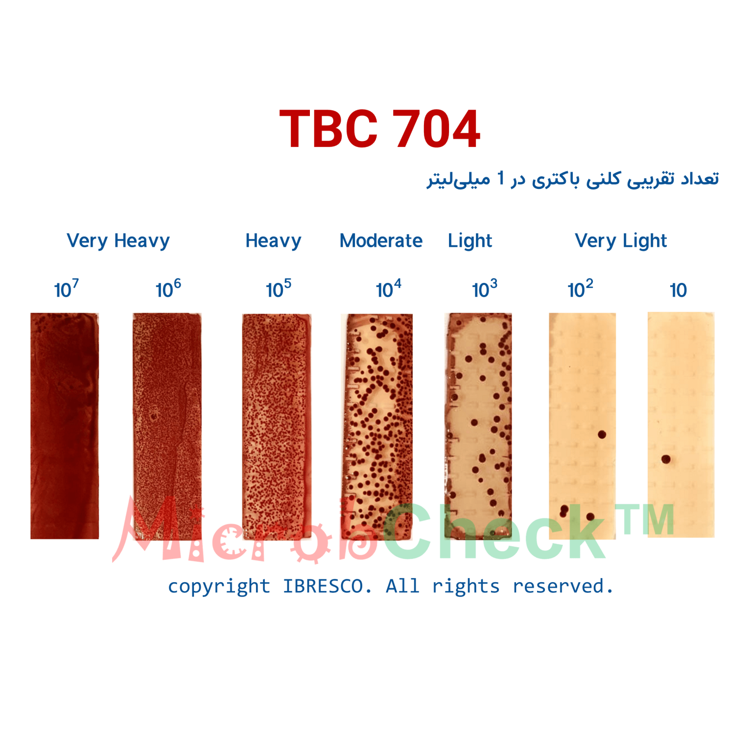 TBC 704 | کیت شمارش کل باکتری ها و کپک و مخمر | ایبرسکو