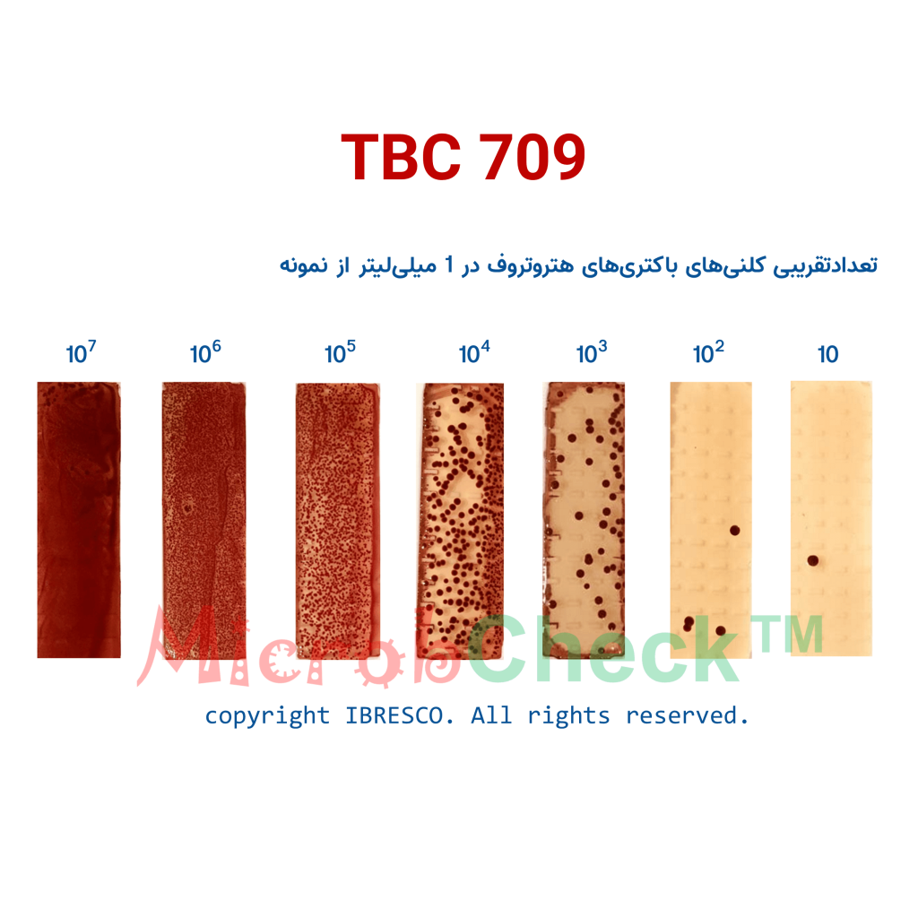 TBC/S | کیت شمارش کل باکتری ها و استافیلوکوک | ایبرسکو