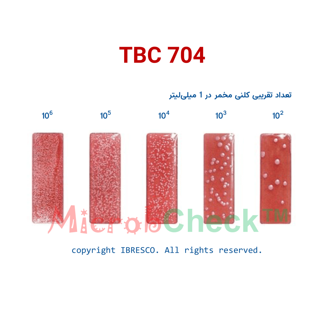 TBC 704 | کیت شمارش کل باکتری ها و کپک و مخمر | ایبرسکو
