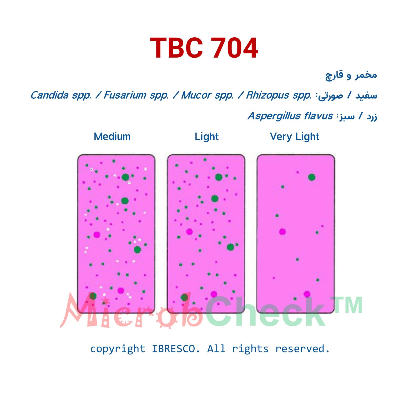 TBC 704 | کیت شمارش کل باکتری ها و کپک و مخمر | ایبرسکو
