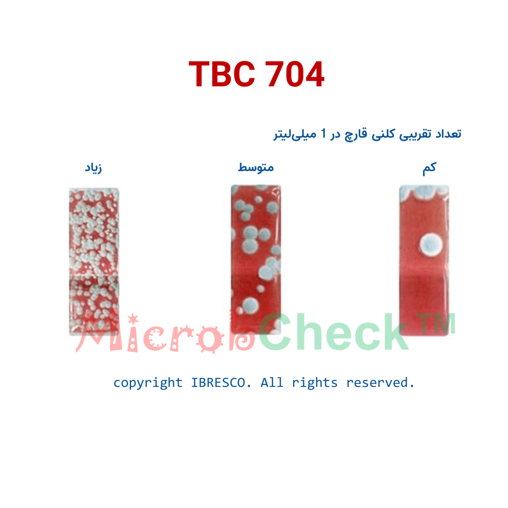 TBC 704 | کیت شمارش کل باکتری ها و کپک و مخمر | ایبرسکو