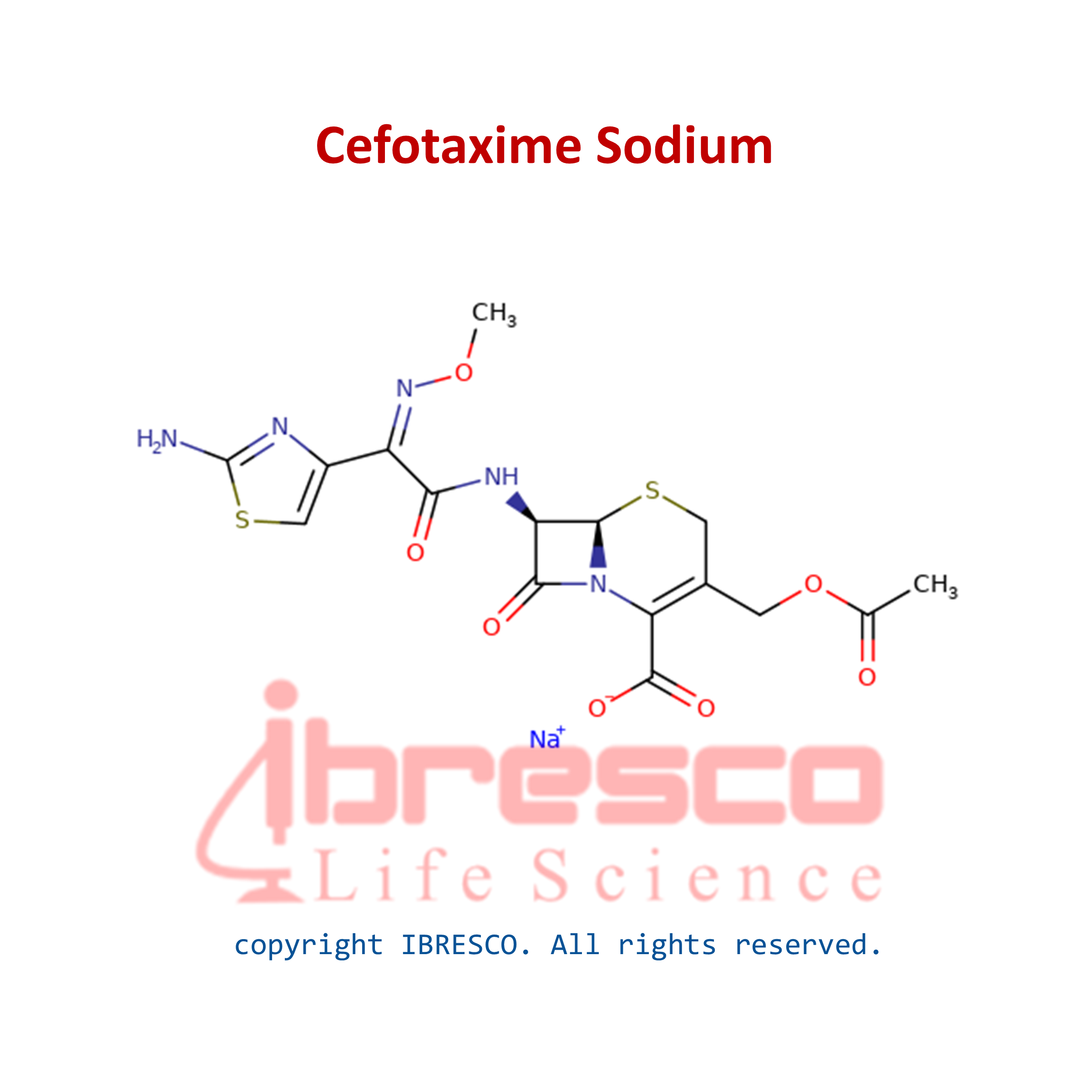 Cefotaxime Sodium Salt | سفوتاکسیم | ایبرسکو