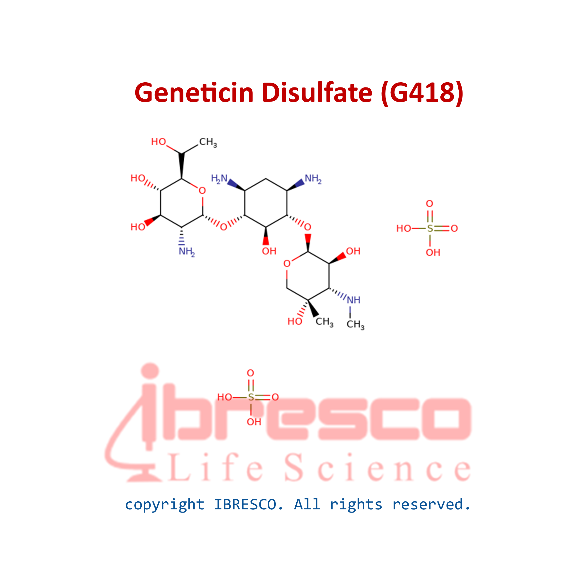 Geneticin Disulfate (G418) | جنتیسین دی سولفات | ibresco