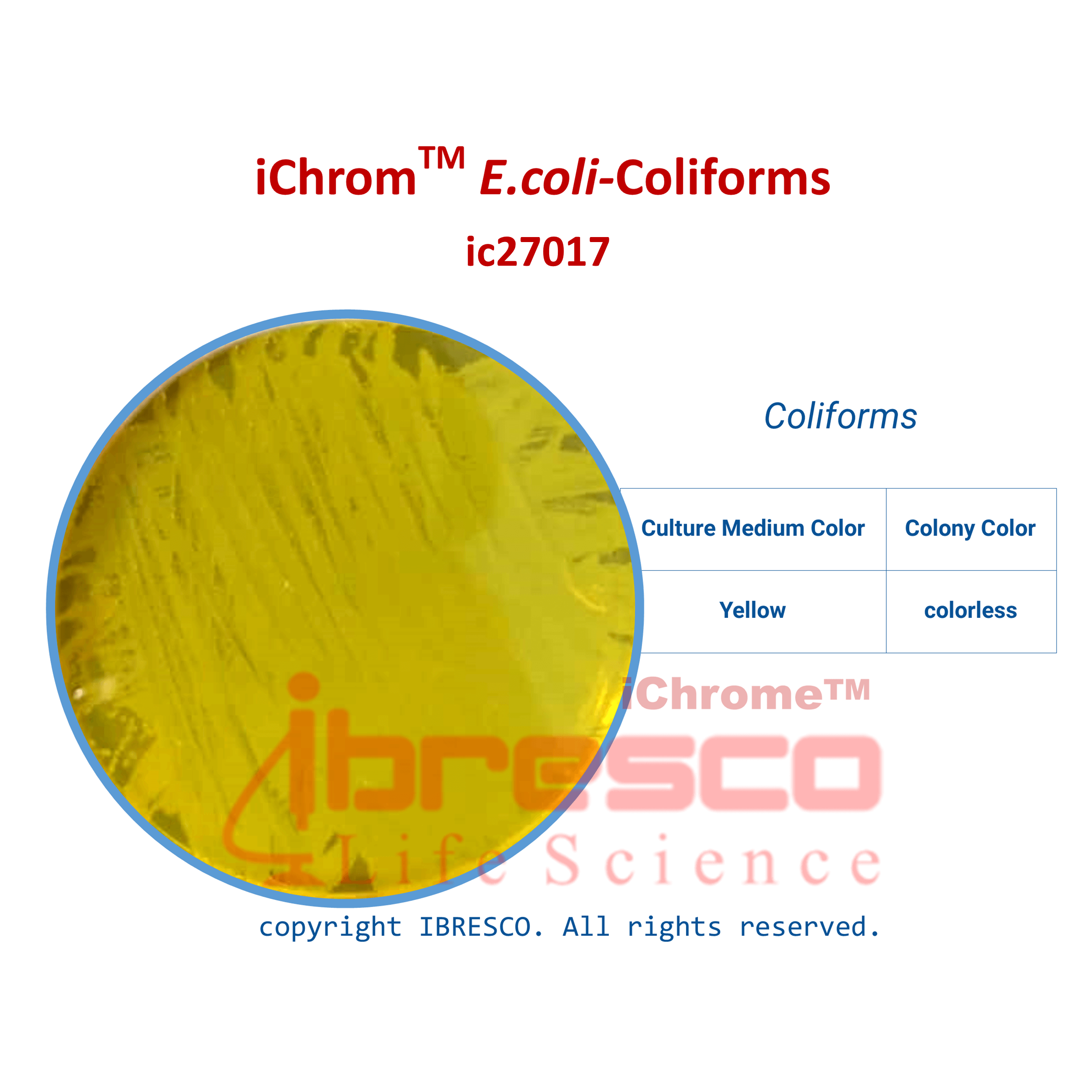 iChrome E.coli-coliform | ibresco