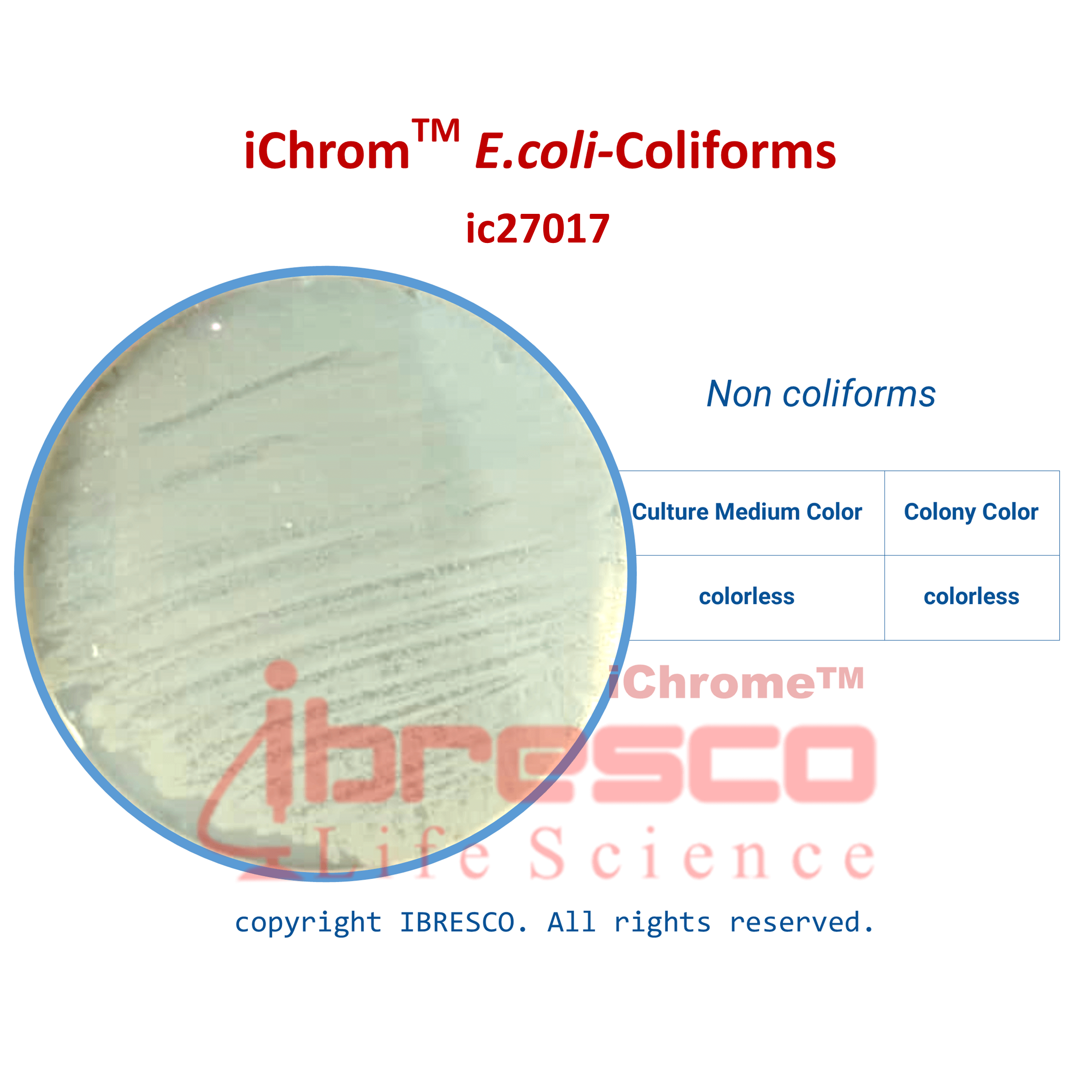 iChrome E.coli-coliform | ibresco