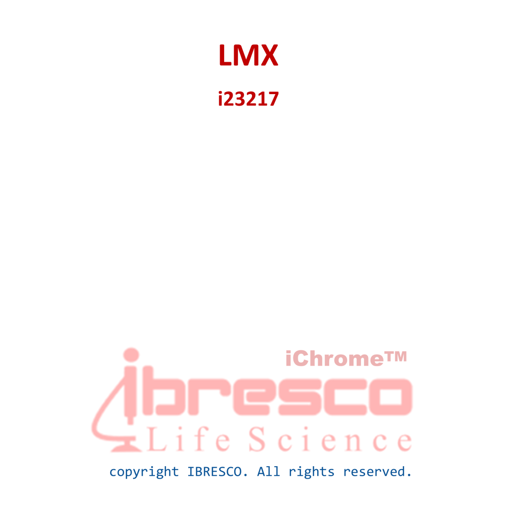 LMX Broth, modified | ibresco