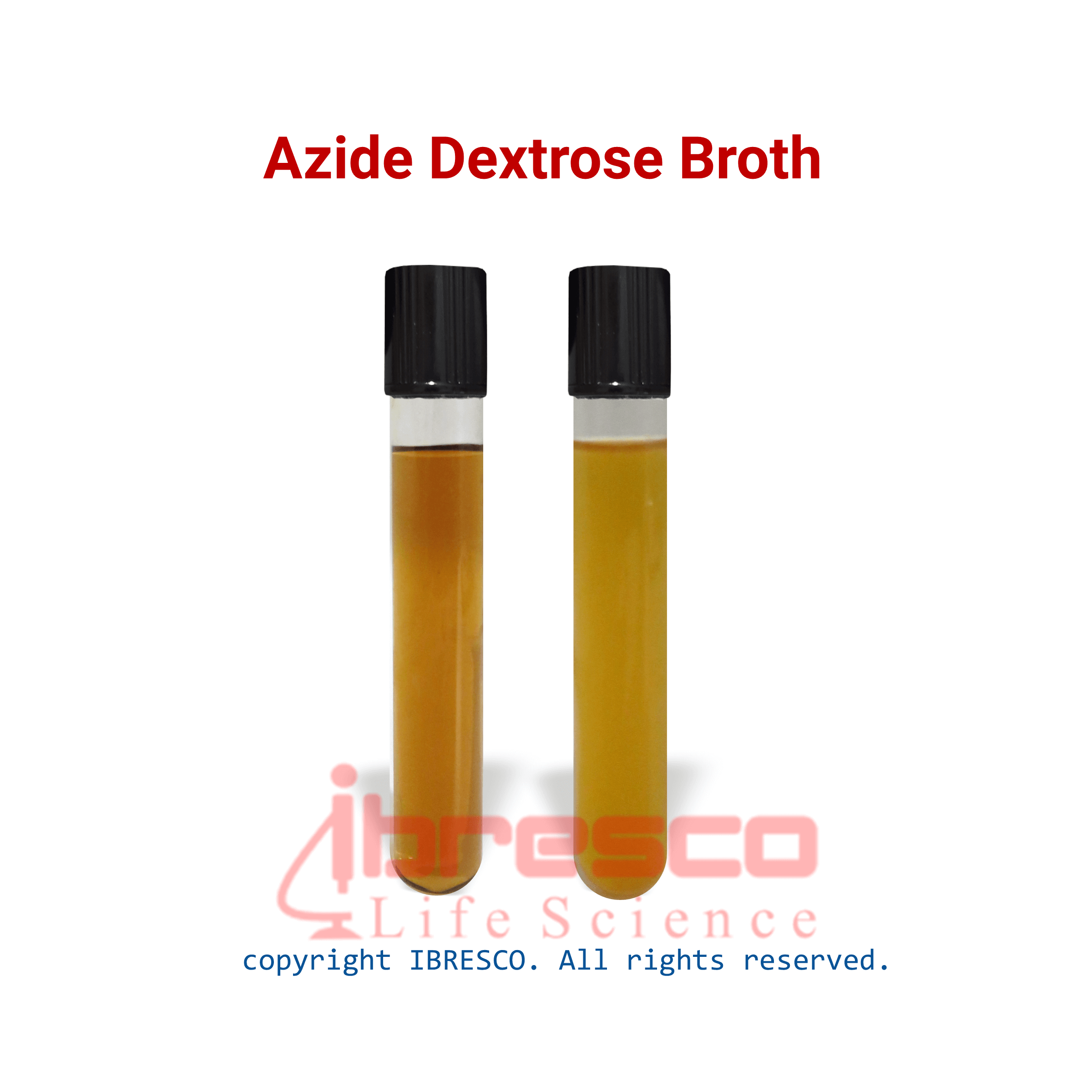 Azide Dextrose Broth | آزاید دکستروز براث | ibresco