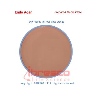 ENDO Agar | ibresco