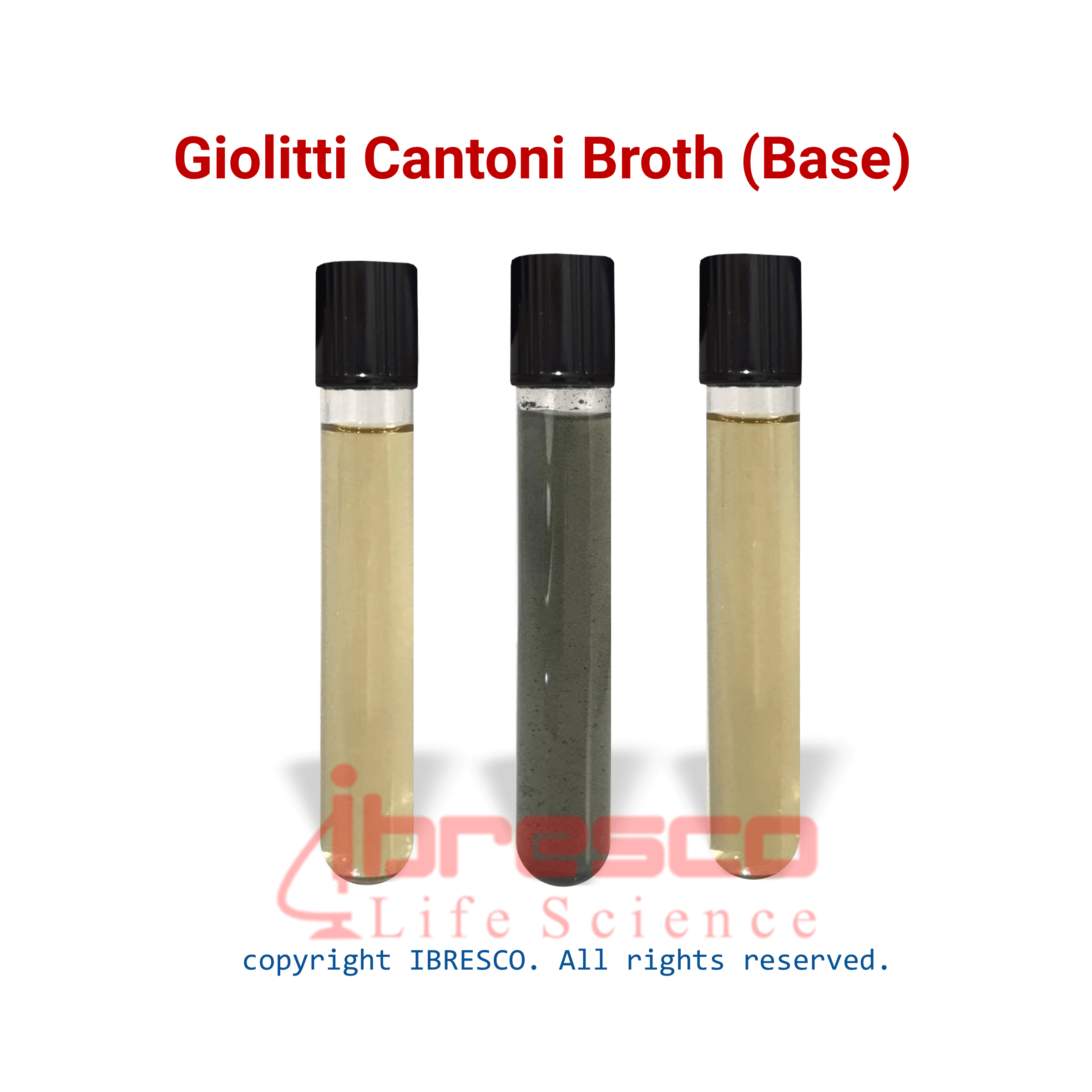Giolitti-Cantoni Broth Base | جیولیتی-کانتونی براث بیس | ایبرسکو