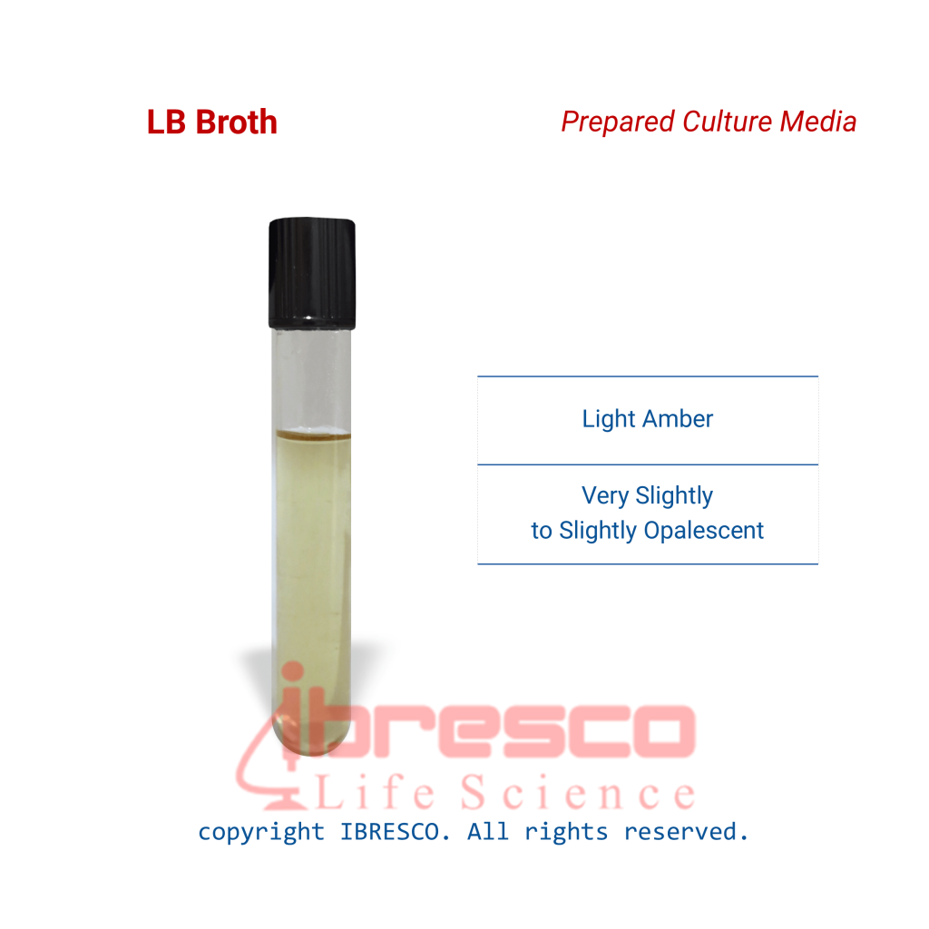 LB Broth | اِل بی براث | ایبرسکو