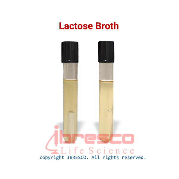 Lactose Broth | لاکتوز براث | ایبرسکو