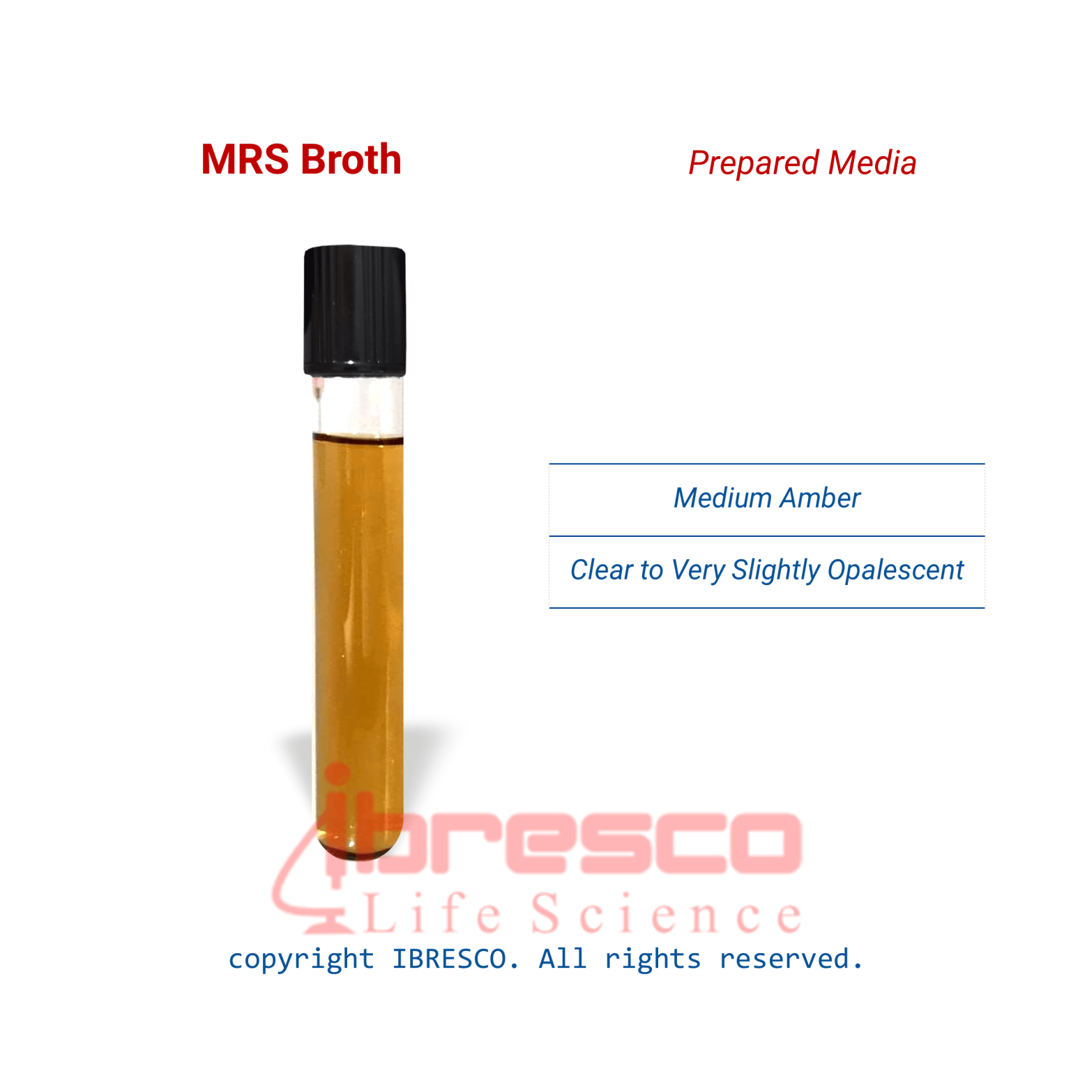 MRS Broth | ام آر اس براث | ibresco