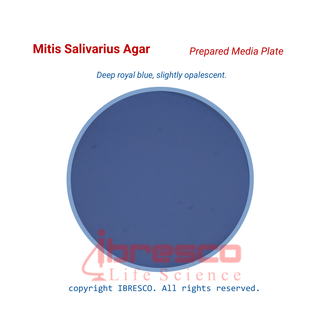Mitis Salivarius Agar | میتیس سالیواریوس آگار | ایبرسکو