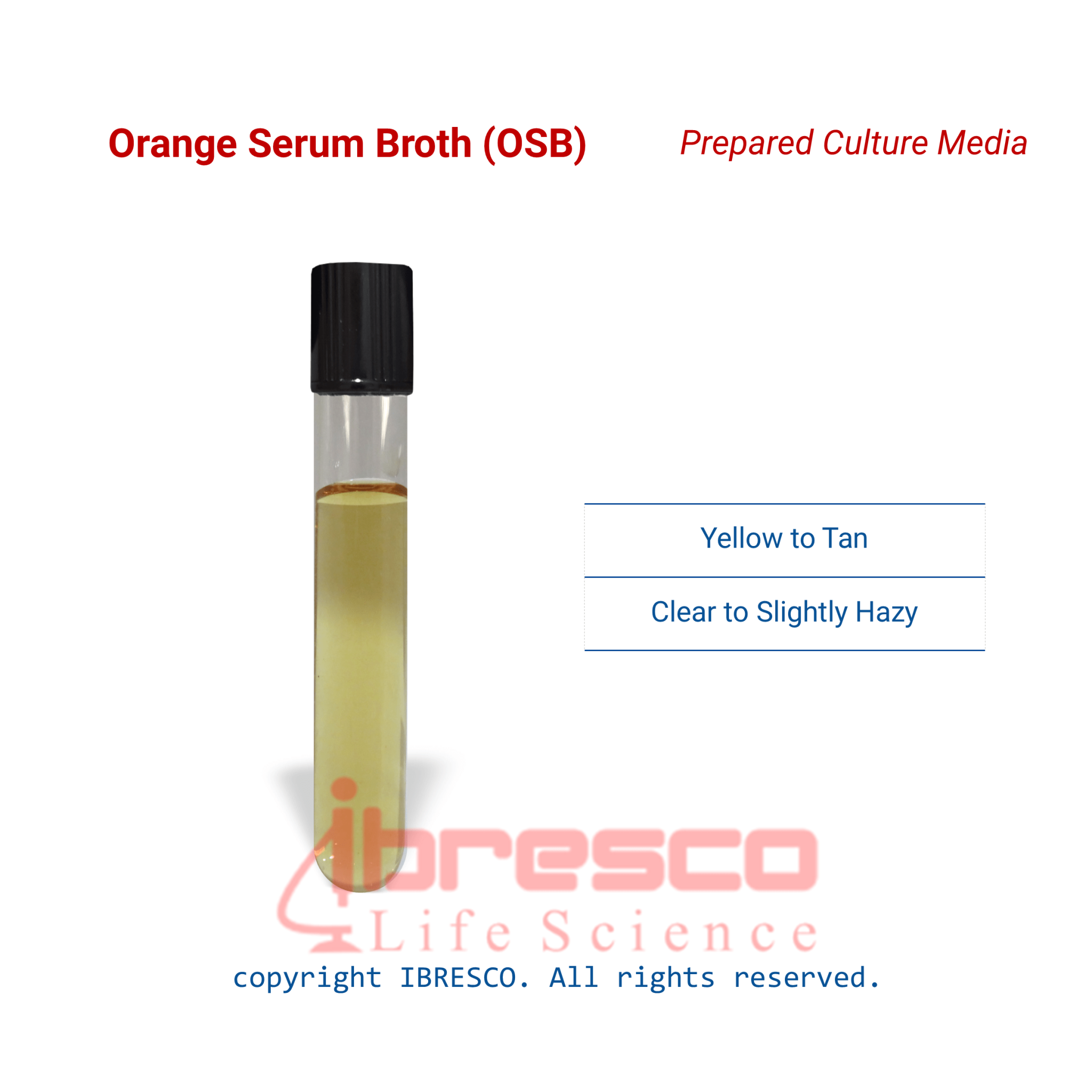Orange Serum Broth | اورنج سرم براث | ایبرسکو