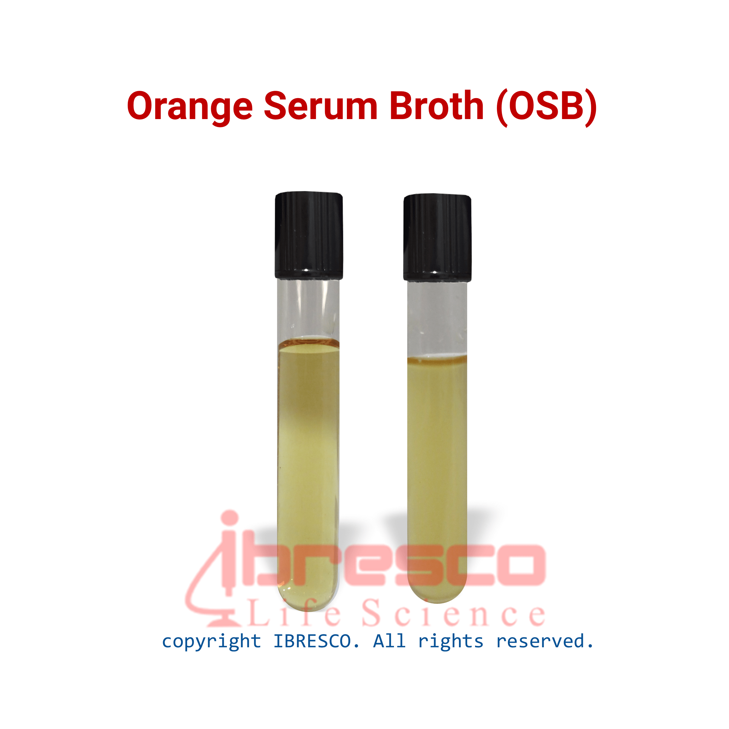 Orange Serum Broth | ibresco