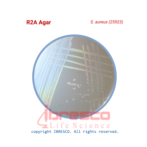 R2A Agar | آر 2 اِی آگار | ایبرسکو