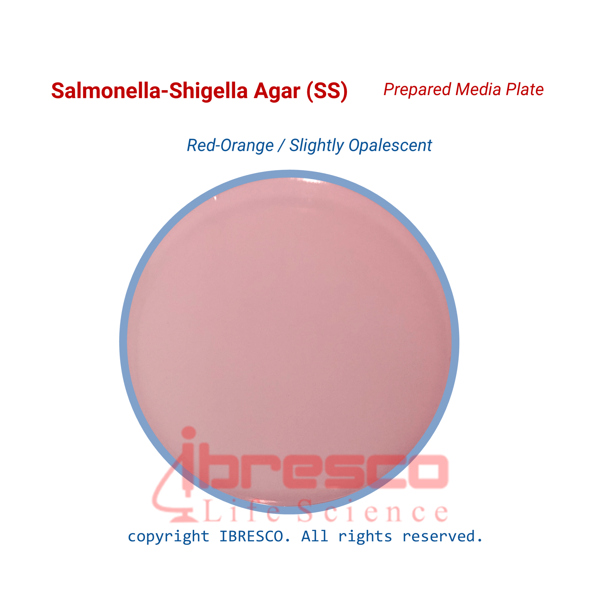 Salmonella-Shigella Agar | سالمونلا-شیگلا آگار | ibresco