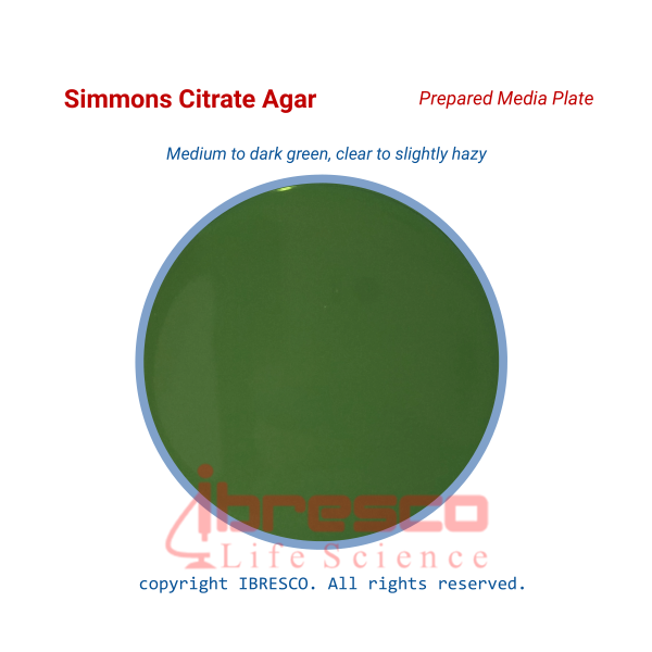 SIMMONS Citrate Agar | سیمونز سیترات آگار | ایبرسکو