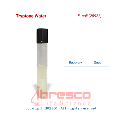 Tryptone Water (TW) | تریپتون واتر | ایبرسکو