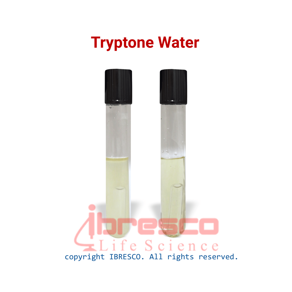 Tryptone Water (TW) | تریپتون واتر | ایبرسکو
