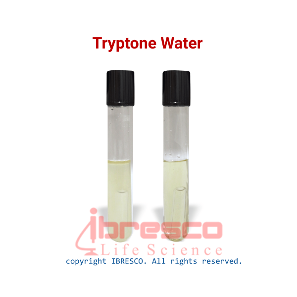 Tryptone Water (TW) | تریپتون واتر | ایبرسکو