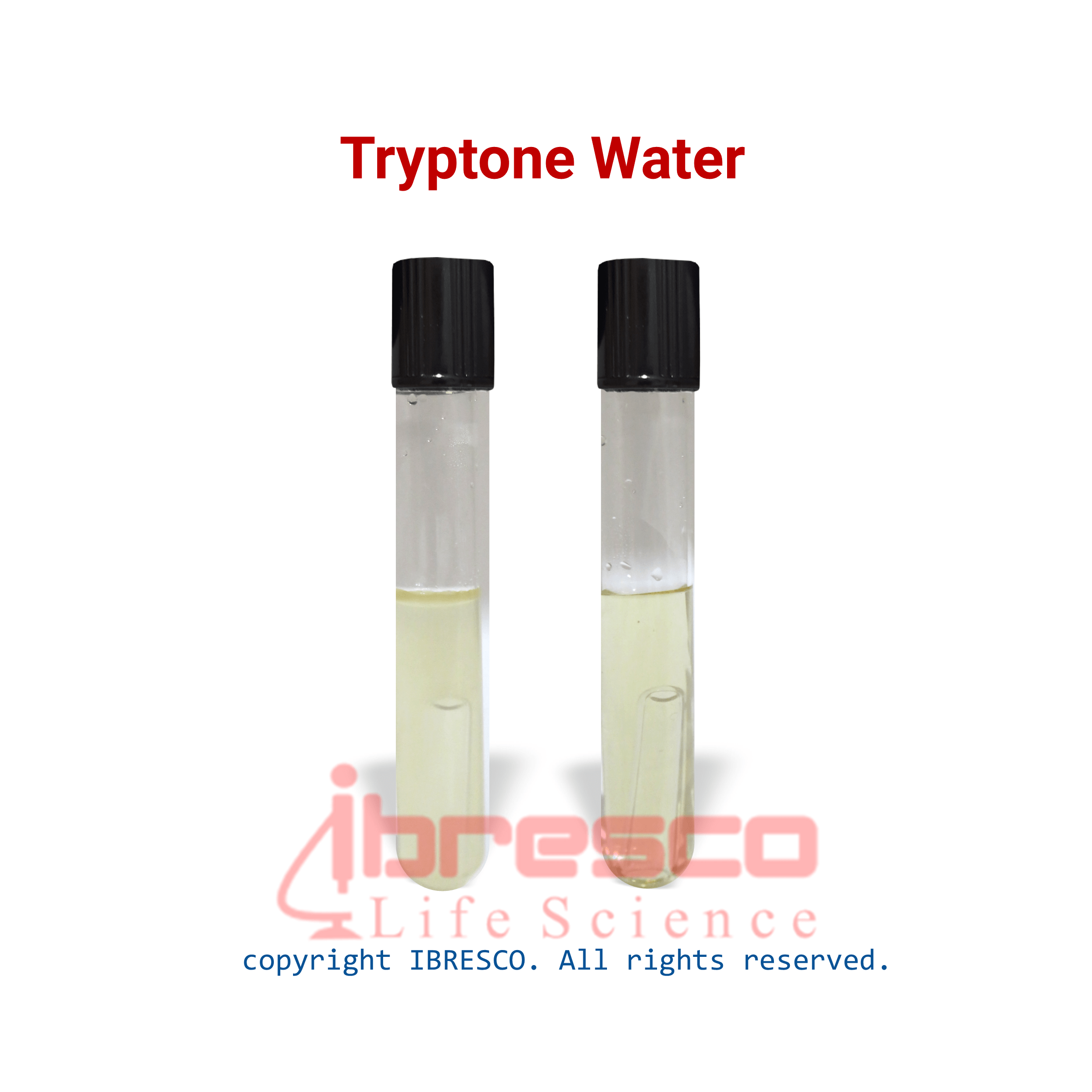 Tryptone Water (TW) | تریپتون واتر | ایبرسکو