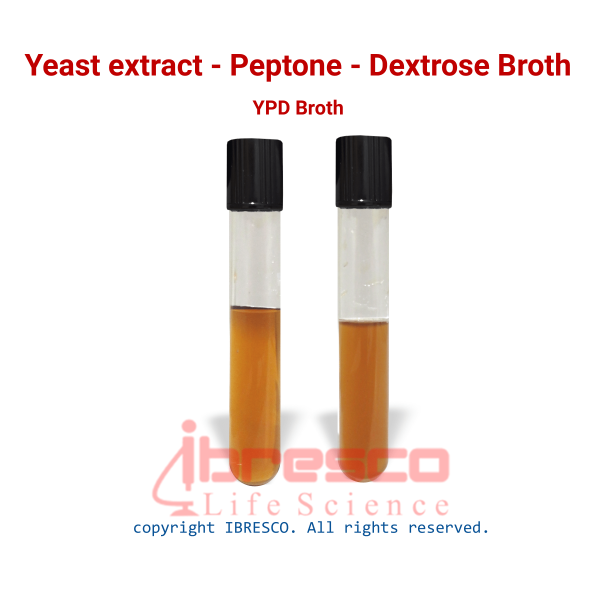 Yeast extract Peptone Dextrose Broth | ییست اکسترکت پپتون دکستروز براث ...