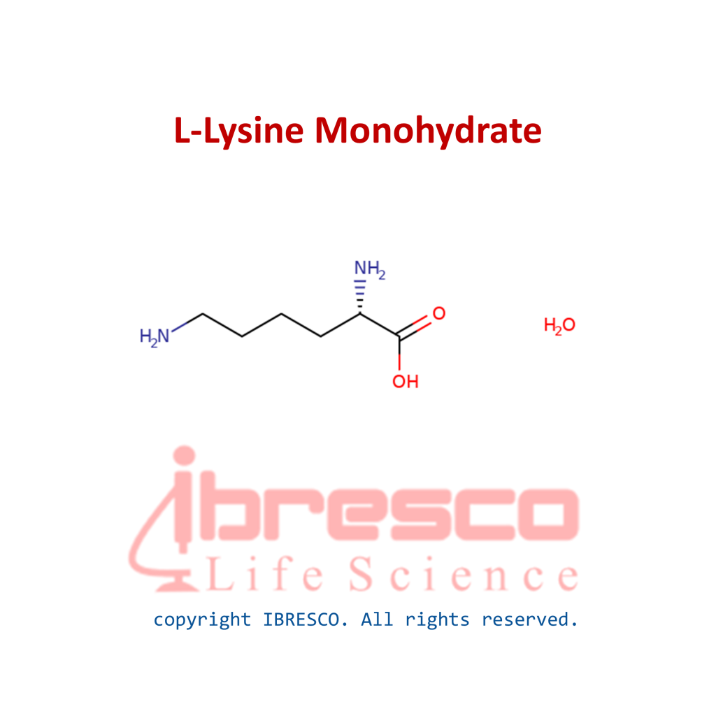 L-Lysine monohydrate | ال لایزین 1 آبه | ibresco