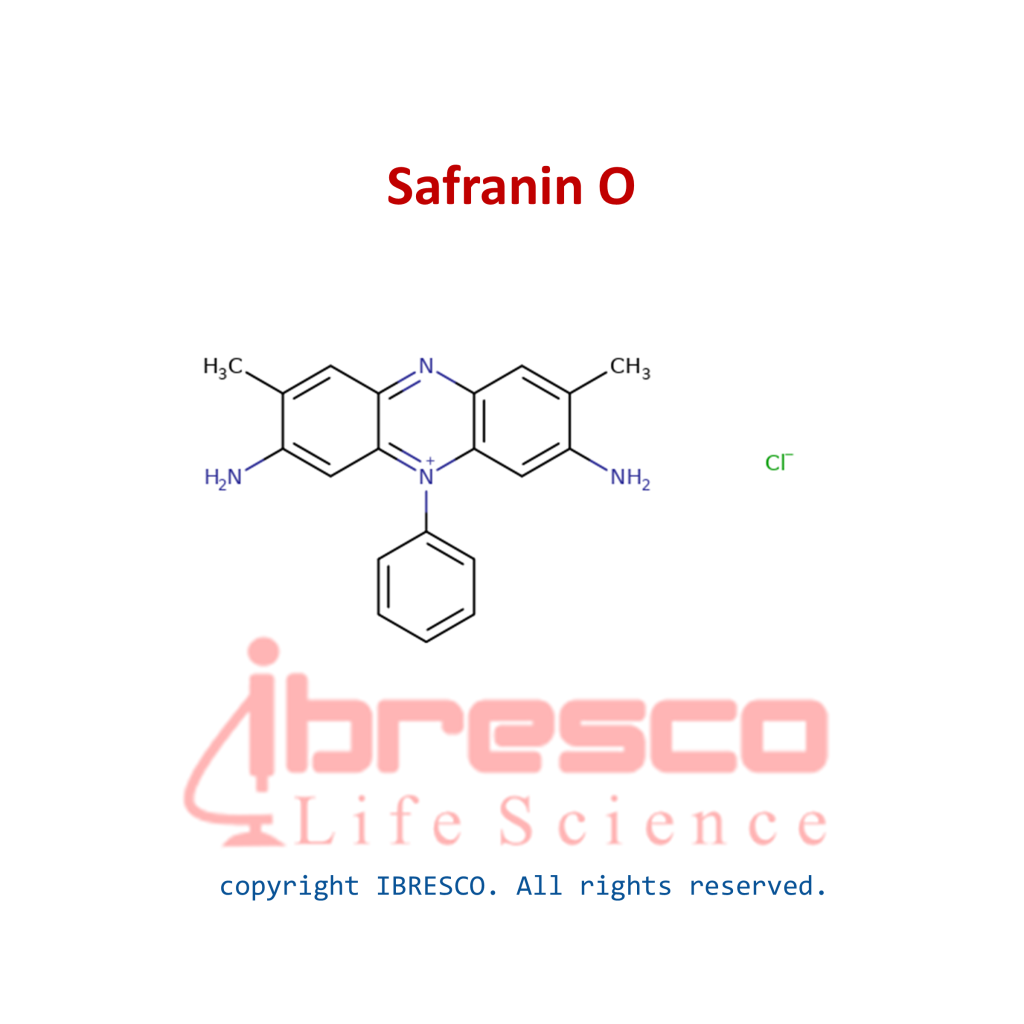 Safranin O | سافرانین او | ibresco