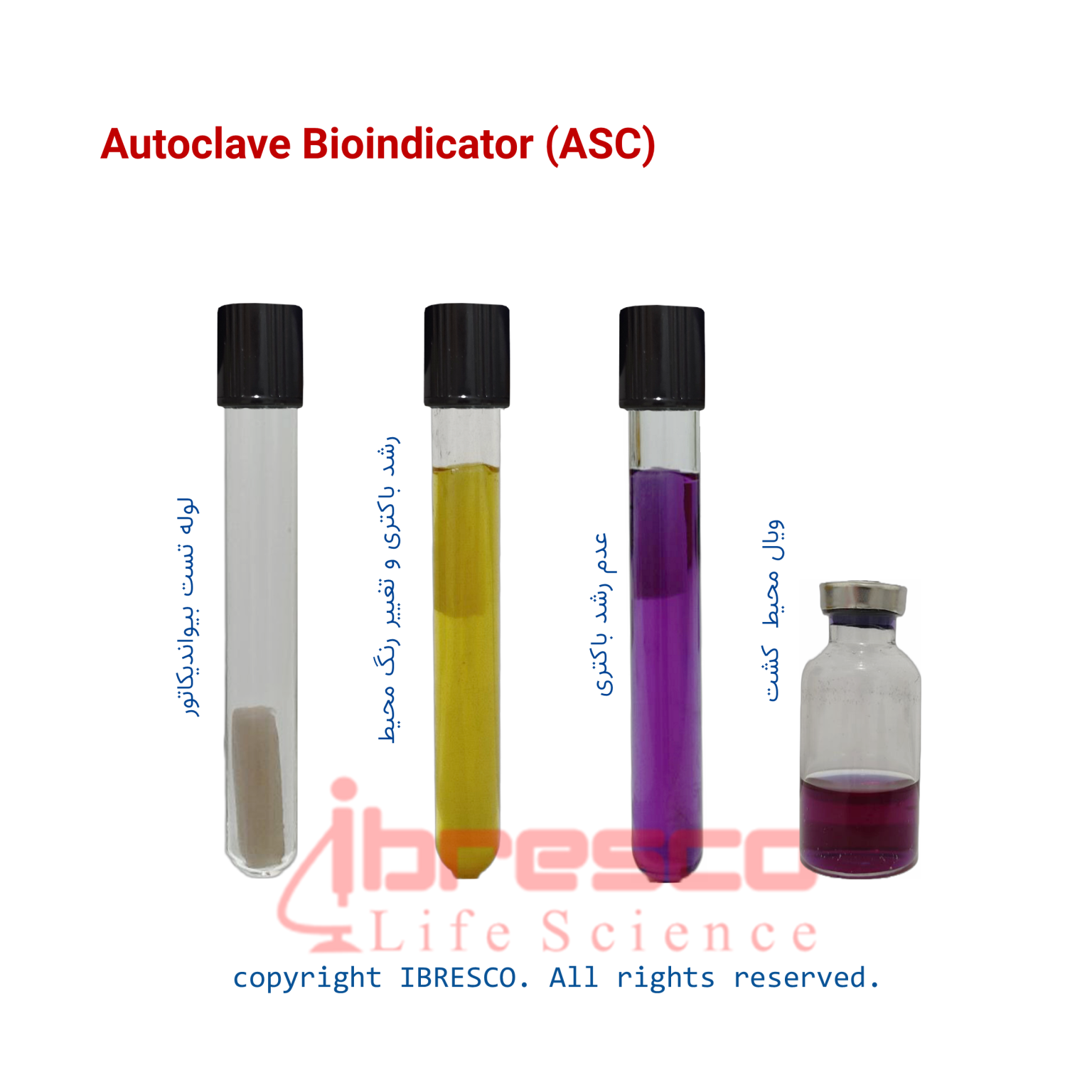 Autoclave Bioindicator (ASC) | بیواندیکاتور اتوکلاو | ایبرسکو